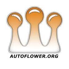 The Autoflower Network