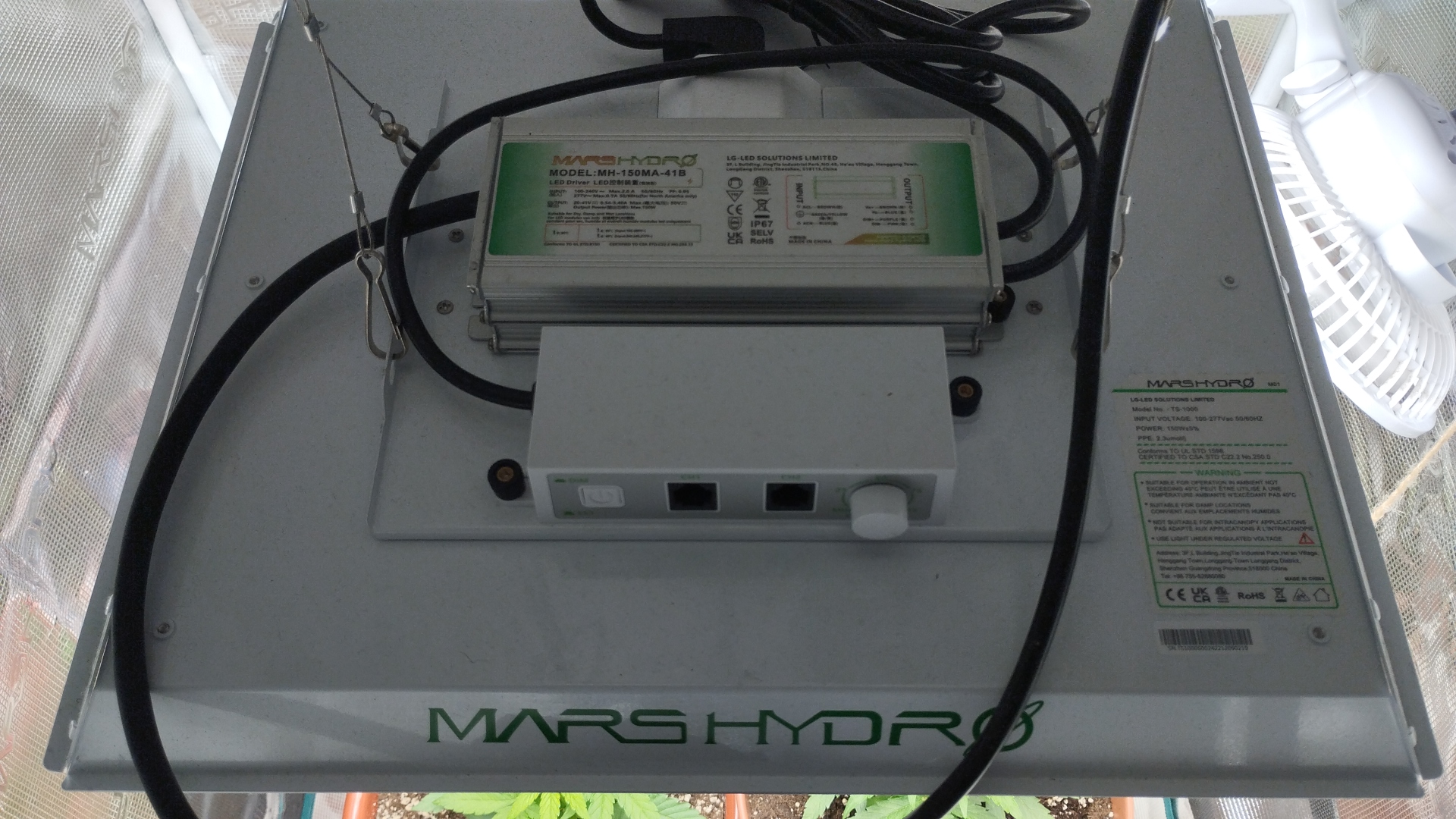 Indoor Organic Grows - Mars Hydro | The Autoflower Network